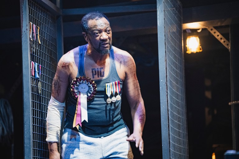 Animal Farm at Leeds Playhouse – Tyke It To The Limit
