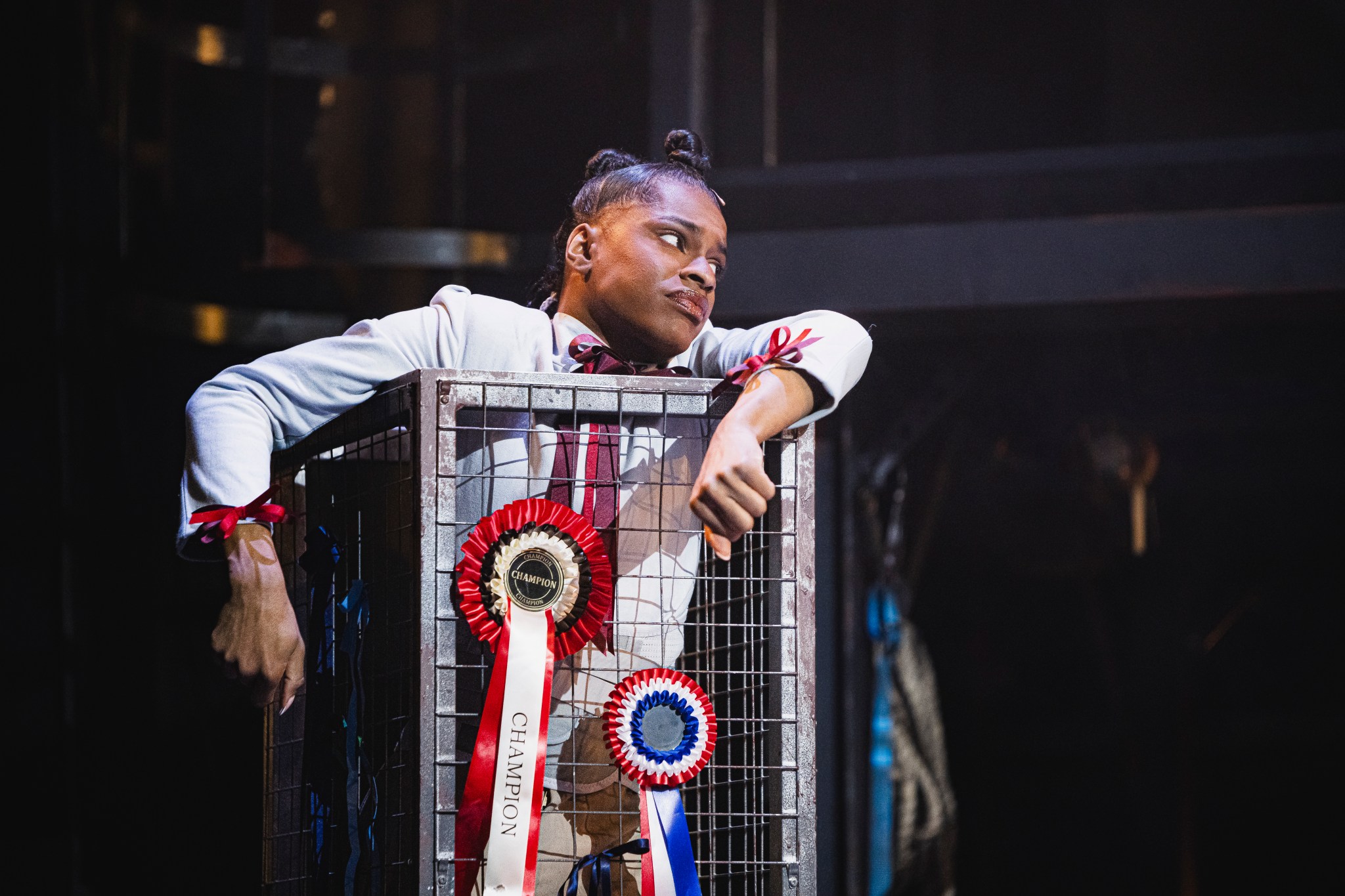 Animal Farm at Leeds Playhouse – Tyke It To The Limit